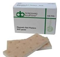 Silver Magnetic Auriculotherapy Magnets for Acupoint Therapy – The ...